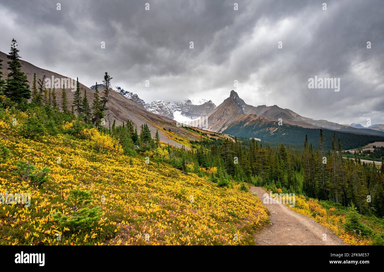 Parker ridge trail hi-res stock photography and images - Alamy