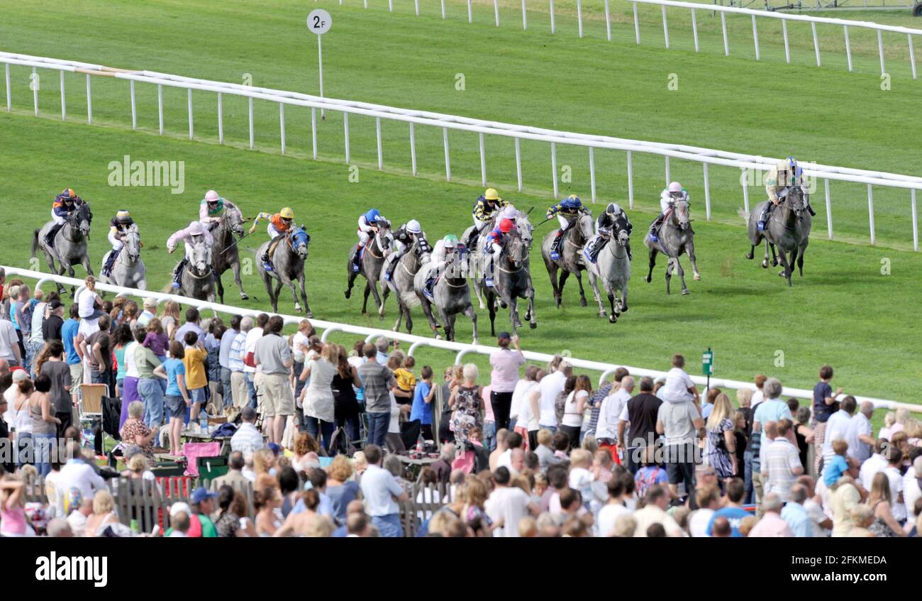 RACING NEWMARKET. THE SUPER 6 HANDICAP FOR GRAY HORSES. 1st JIM CROWLEY ...