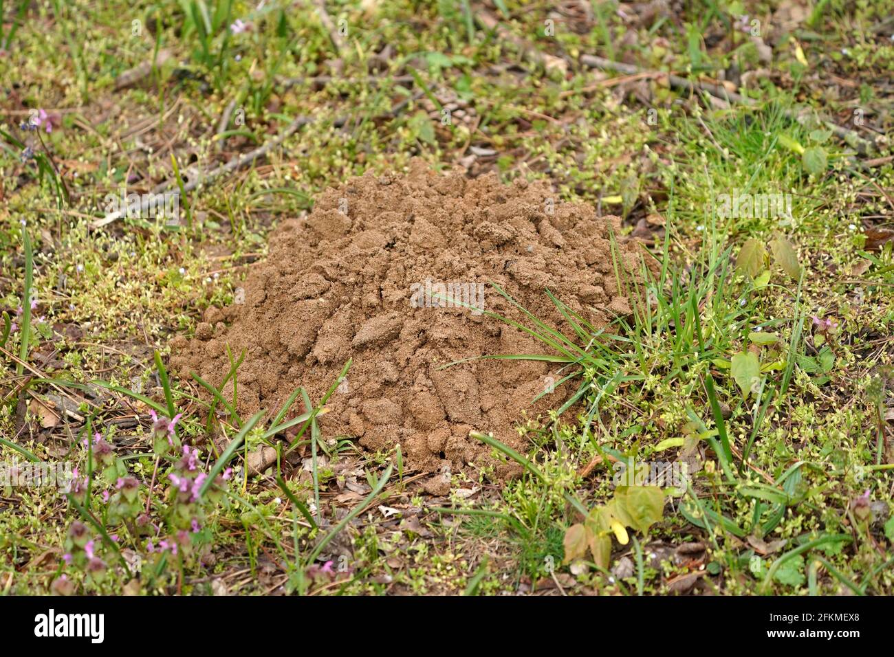 Mound of soil hi-res stock photography and images - Alamy