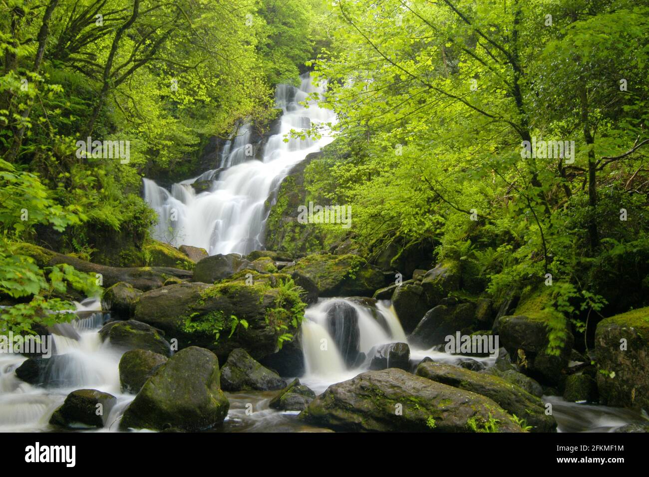Torc Waterfall, Killarney National Park, Ring of Kerry, County Kerry ...
