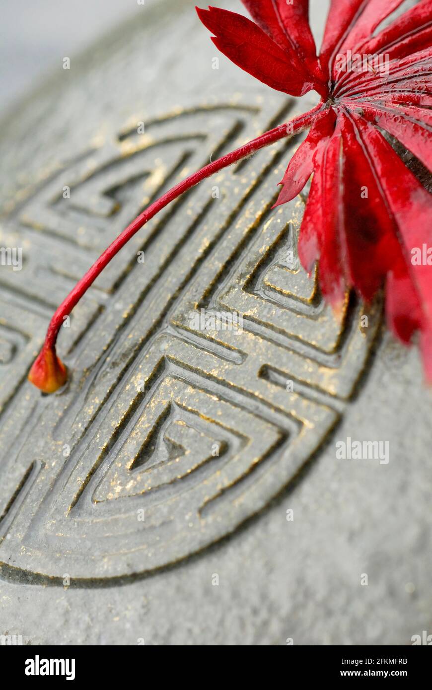 Japanese Maple leaf and Japanese emblem in stone, esotericism, symbol ...