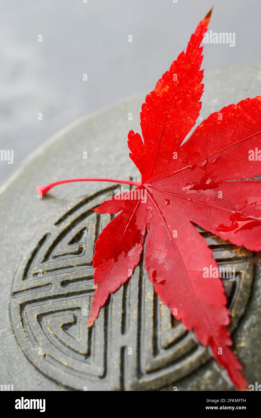 Japanese Maple leaf and Japanese emblem in stone, esotericism, symbol ...