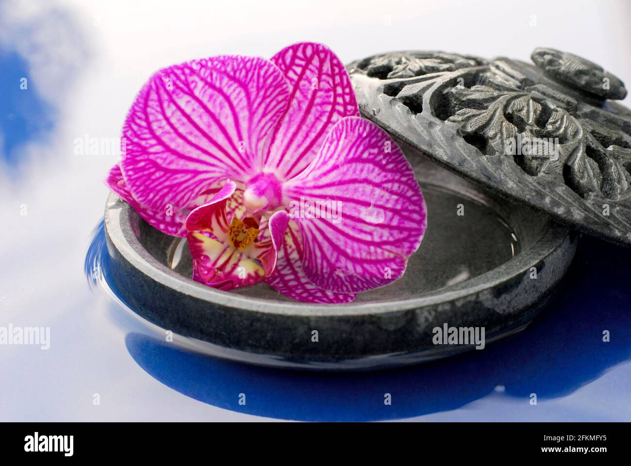 Orchid flower in bowl (Phalaenopsis Stock Photo - Alamy