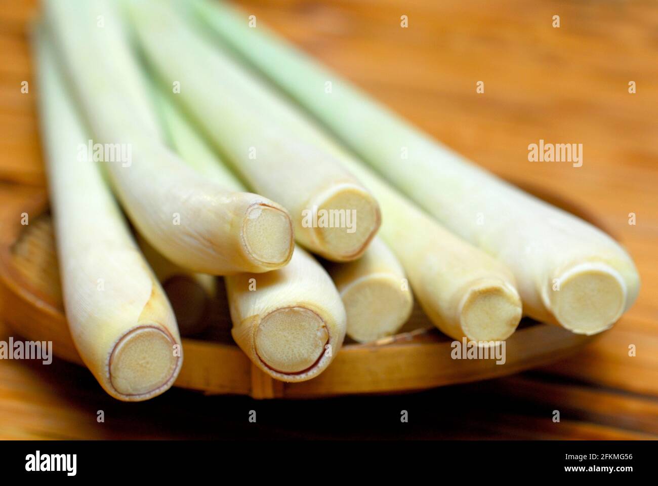 Lemongrass (Cymbopogon citratus Stock Photo - Alamy
