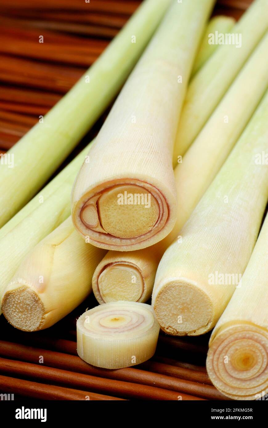Lemongrass (Cymbopogon citratus Stock Photo - Alamy