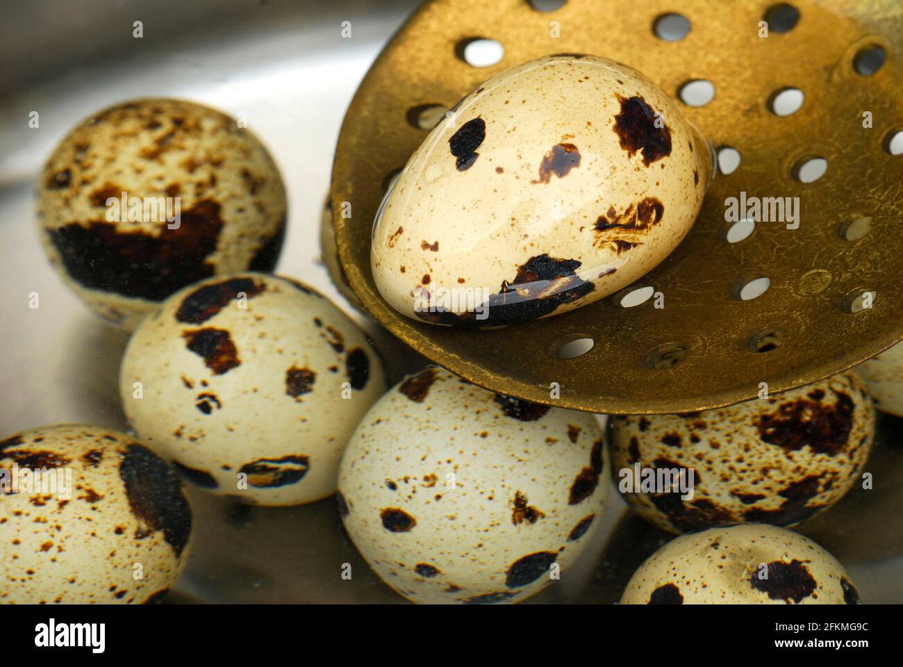 Ladle egg hi-res stock photography and images - Alamy