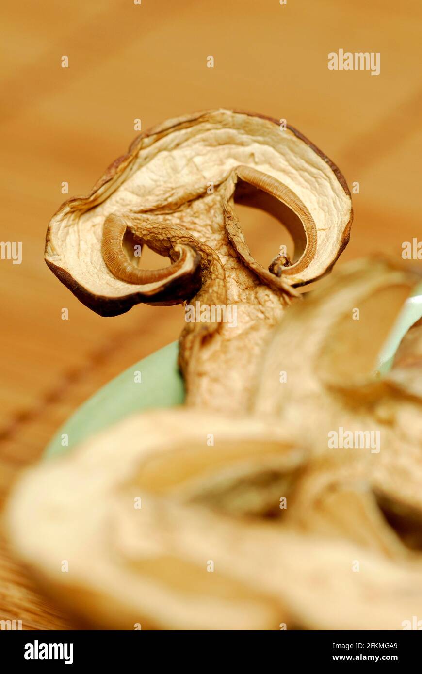 Porcini mushrooms, dried, porcini mushroom, King bolete (Boletus edulis ...