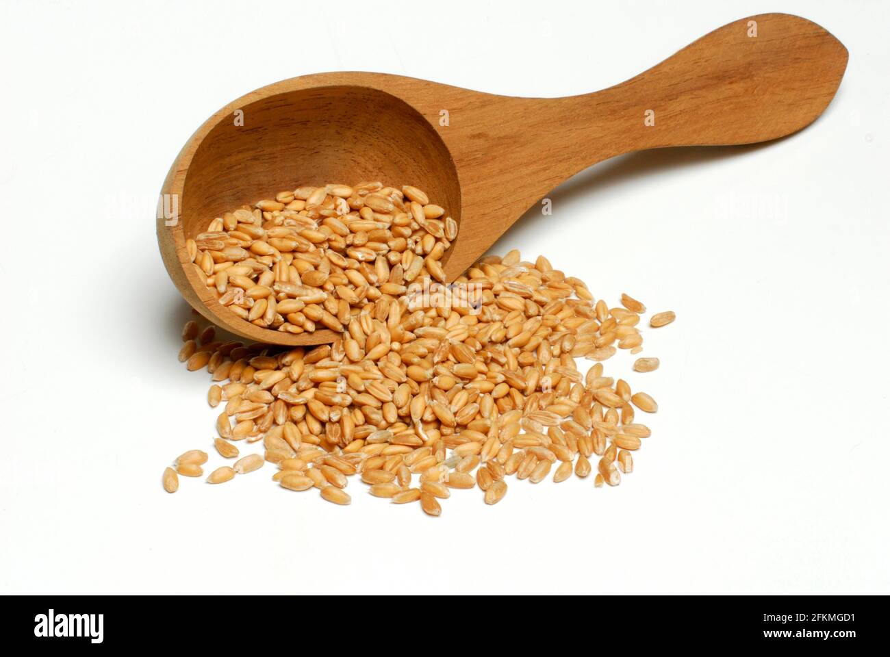 Wheat plant shovel hi-res stock photography and images - Alamy
