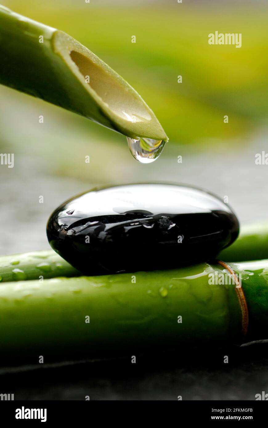 Bamboo cane with water drops and stone Stock Photo - Alamy
