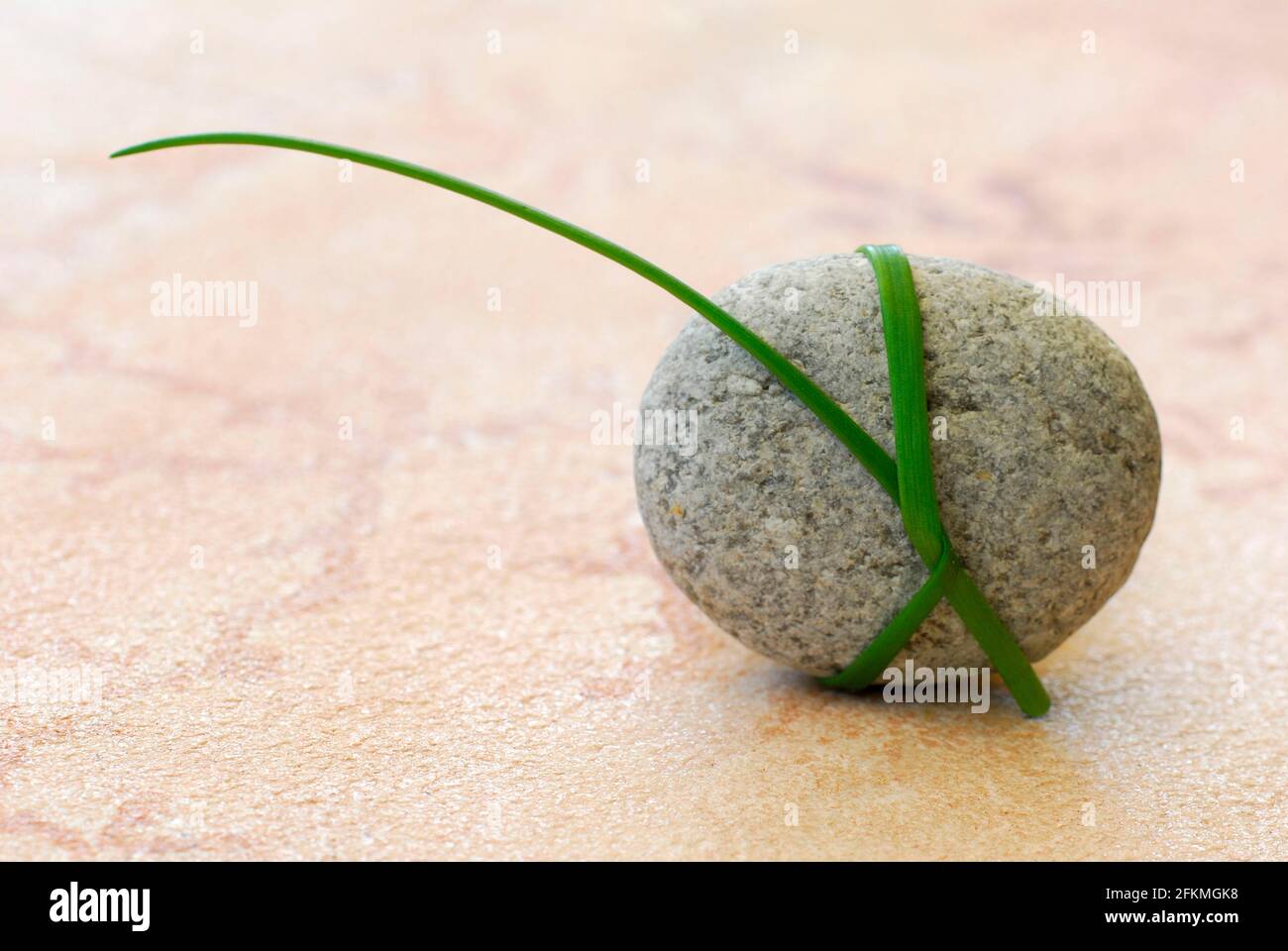 Stalk wrapped around stone, blade of grass Stock Photo - Alamy