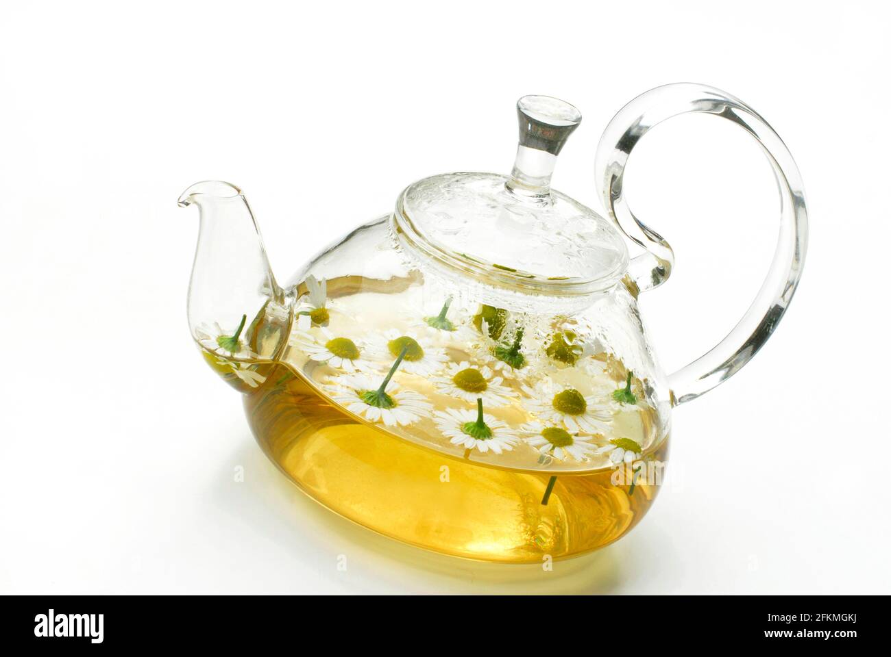 Pot with chamomile tea and chamomile flowers , German chamomile ...