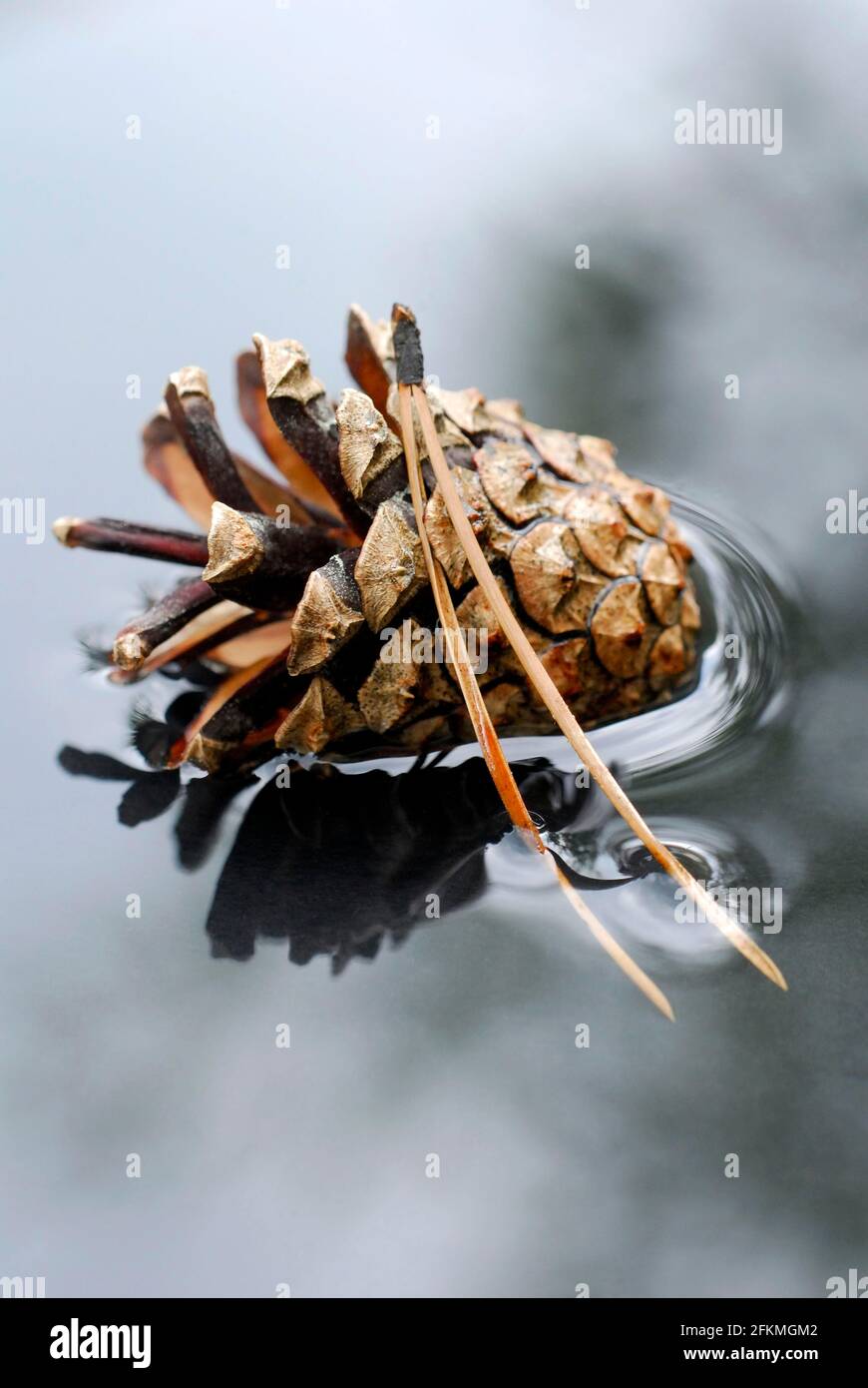 Cone of water hi-res stock photography and images - Alamy