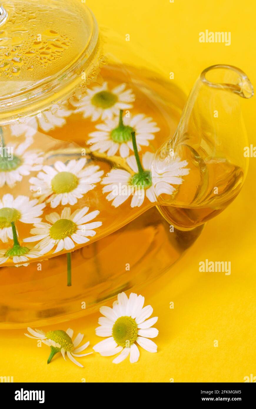 Matricaria chamomilla pot hi-res stock photography and images - Alamy