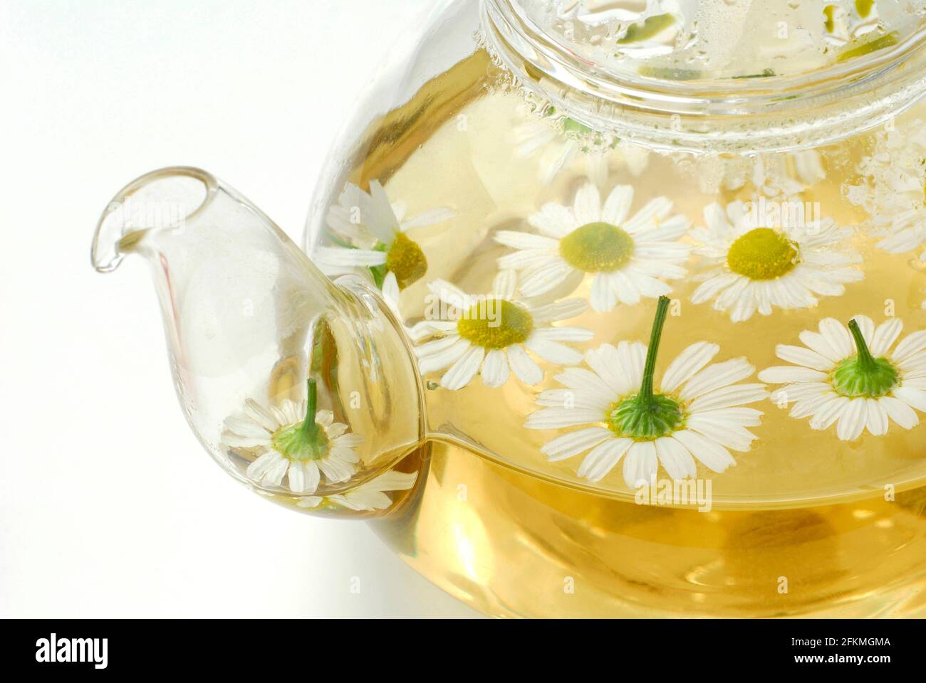 Pot with chamomile tea and chamomile flowers , German chamomile ...