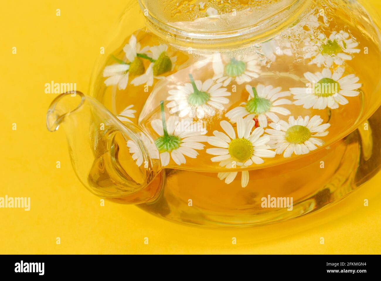 Pot with chamomile tea and chamomile flowers , German chamomile ...