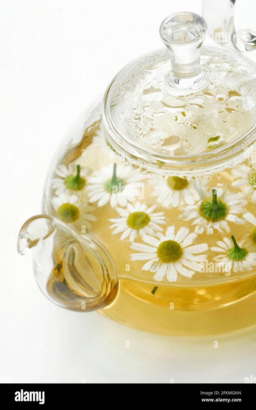 Pot with chamomile tea and chamomile flowers , German chamomile ...