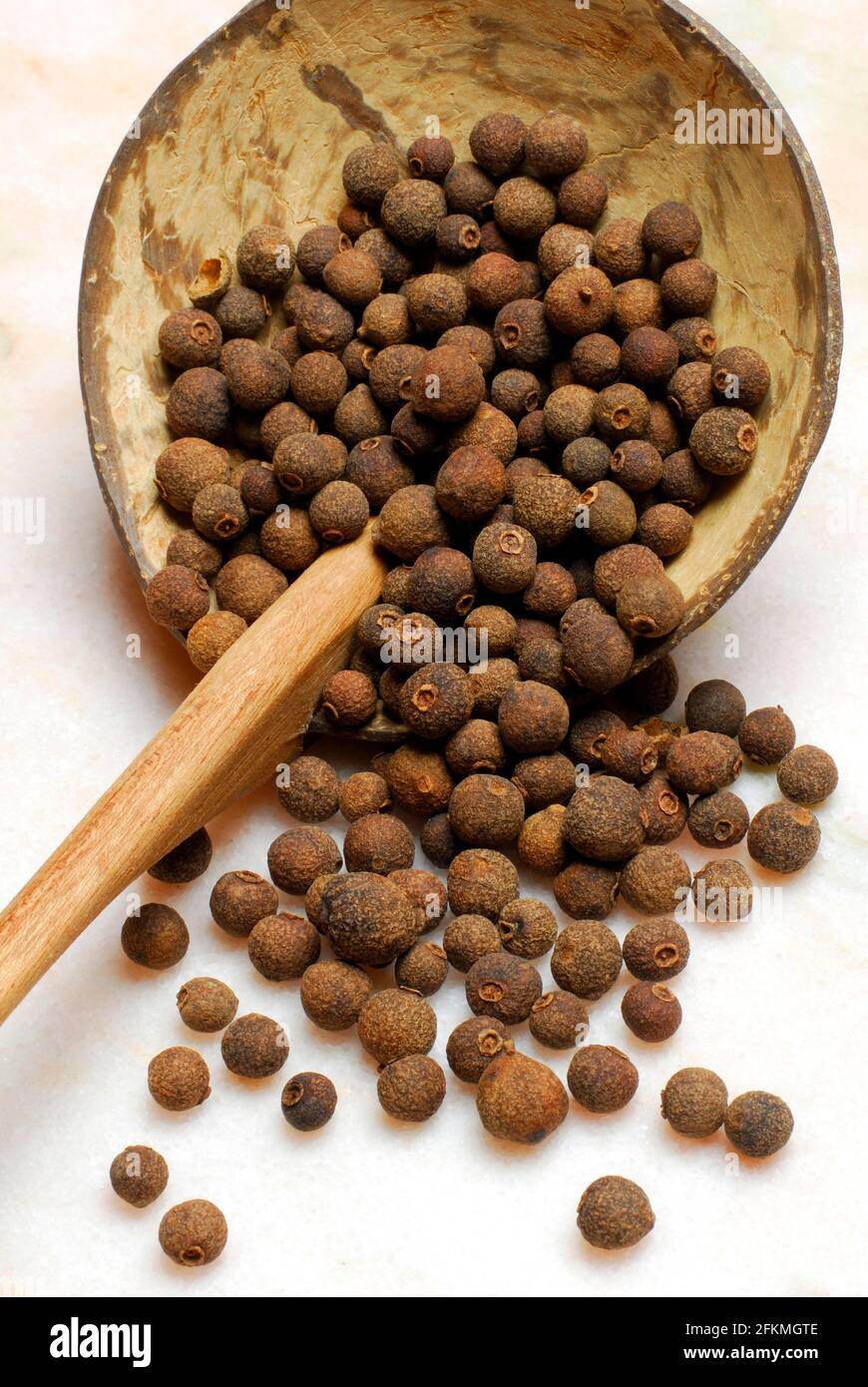 Allspice (Pimenta dioica officinalis) clove pepper, Jamaica pepper, new ...