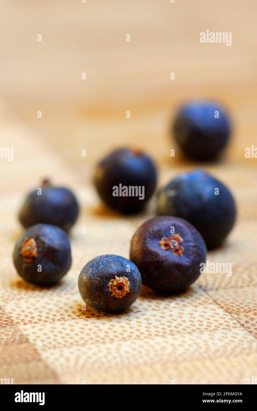 Juniper berries (Juniperus communis) dried Stock Photo - Alamy