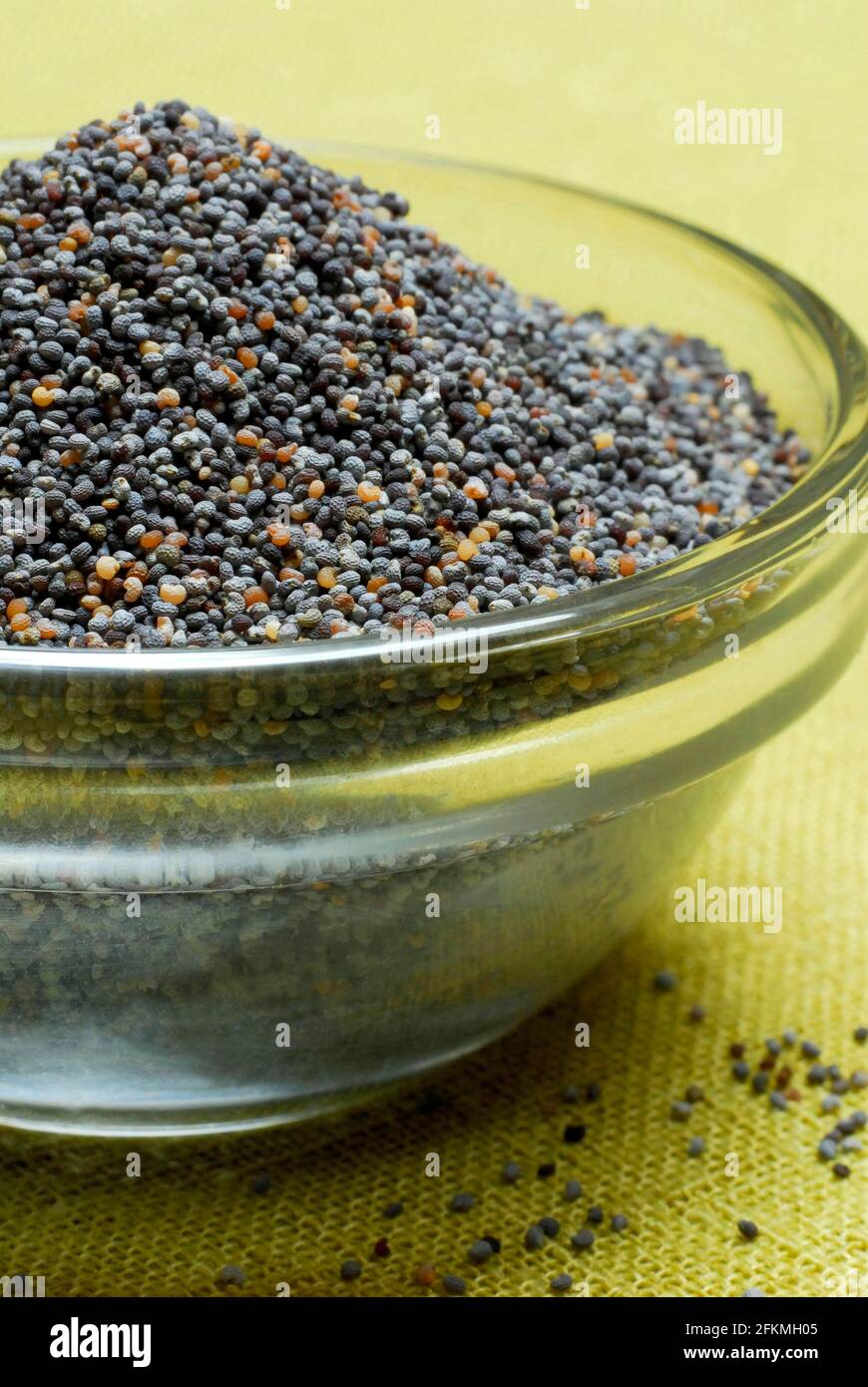 Opium poppy (Papaver somniferum) in shell, seeds, , Poppy seed, poppy ...