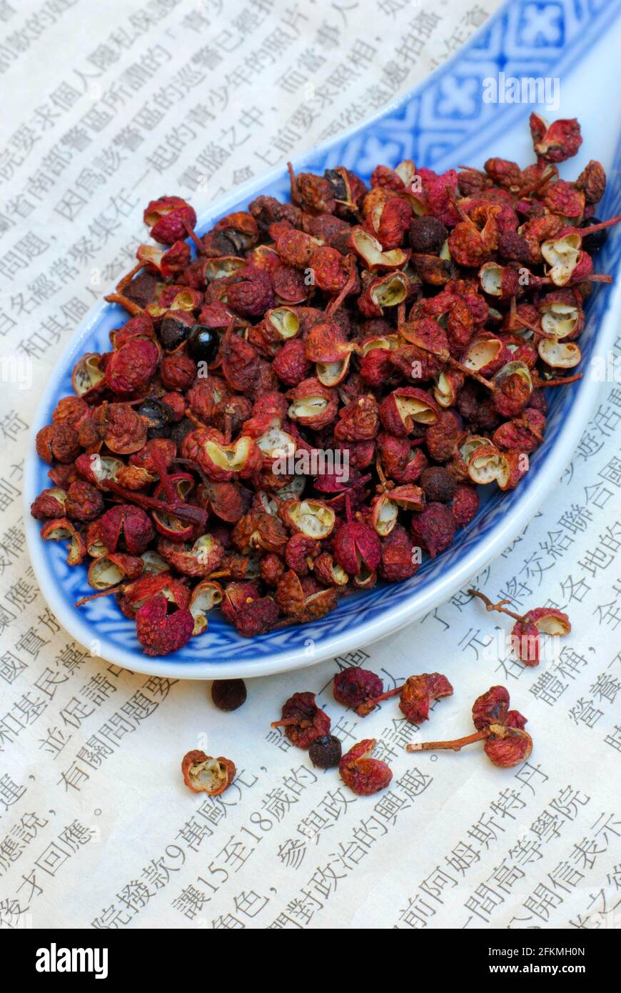 Szechuan pepper (Zanthoxylum piperitum) , fagara, Japanese pepper ...