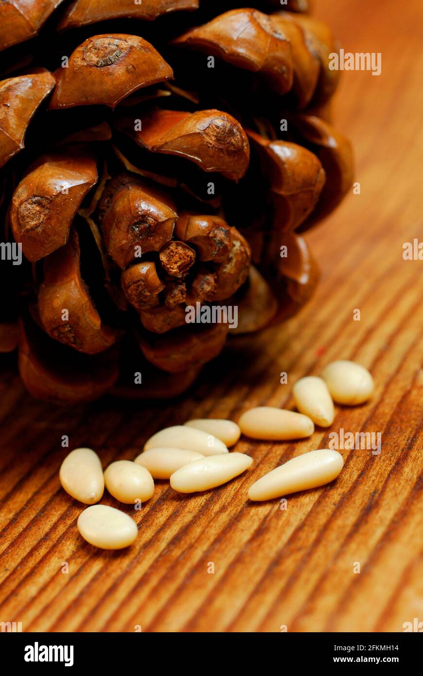 Pinus pinea cone hi-res stock photography and images - Alamy