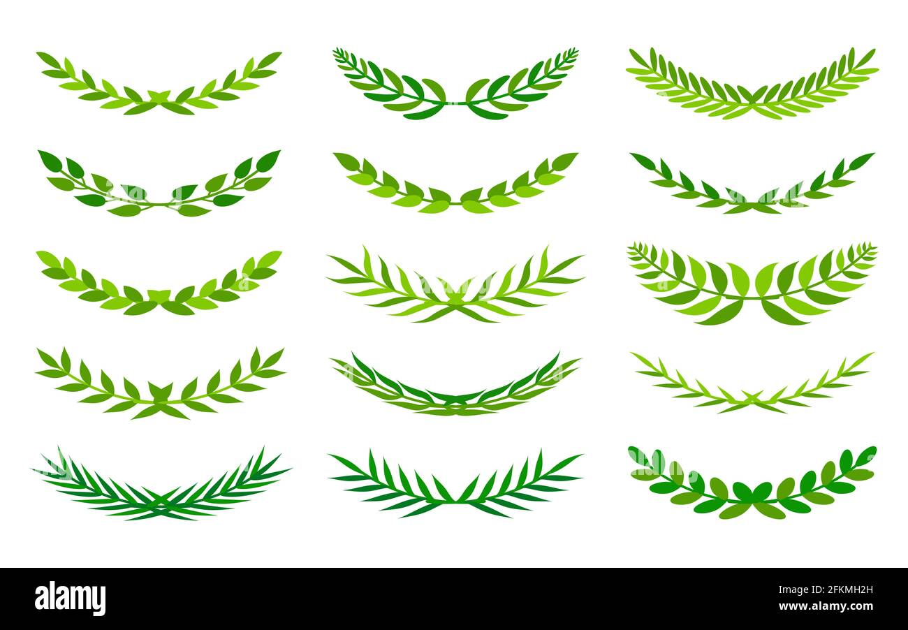 Set of green semicircular form wreath. Floral leaf ornament frame for ...
