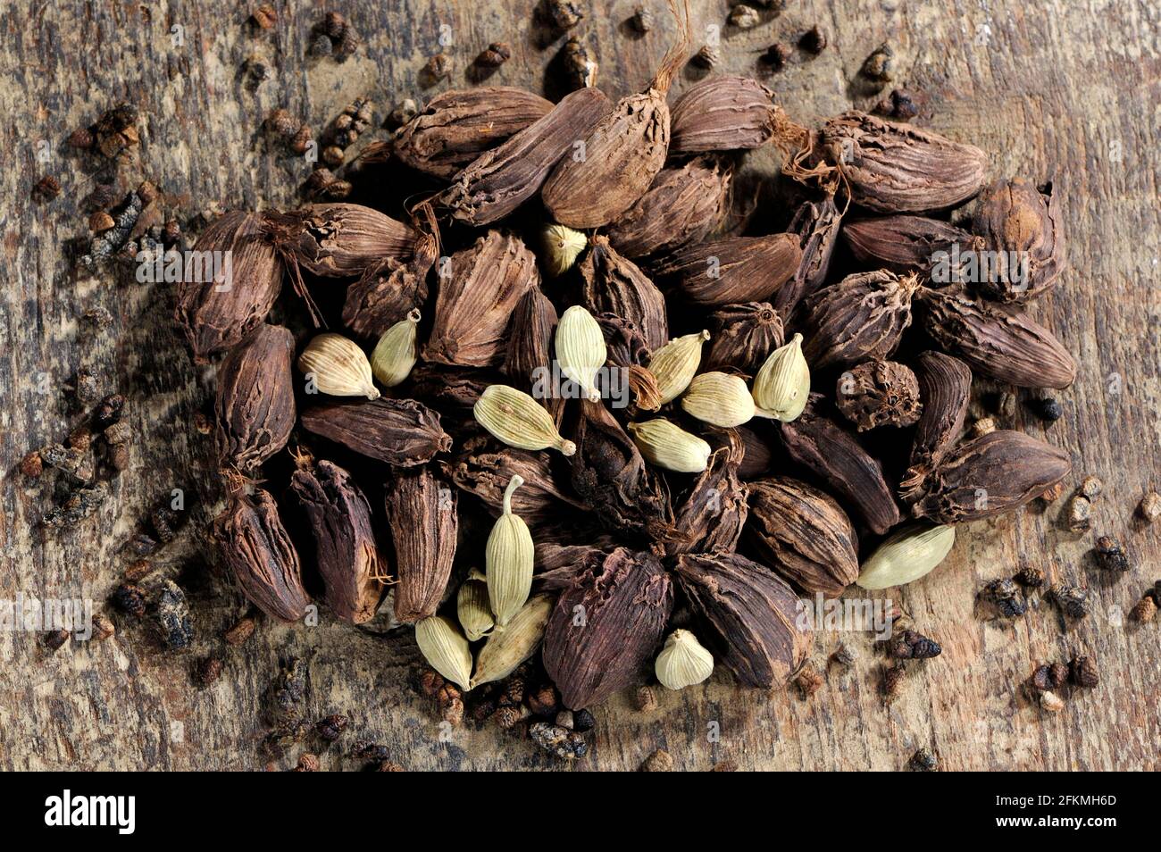 Cardamom (Elettaria cardamomum Stock Photo - Alamy