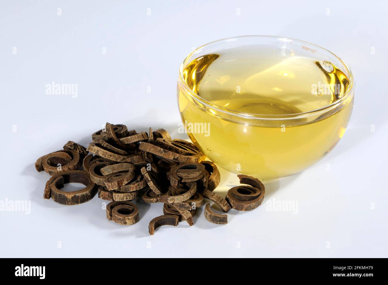 Magnolia bark magnolia officinalis hi-res stock photography and images ...