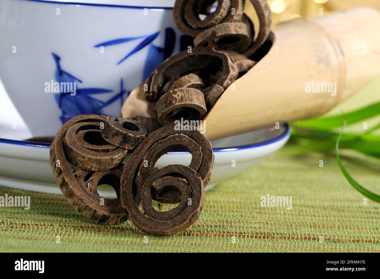 Magnolia bark magnolia officinalis hi-res stock photography and images ...