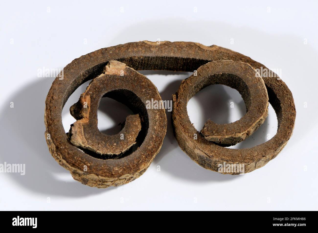 Magnolia bark (Magnoliae Officinalis Cortex), Hou Po, freehand, object ...
