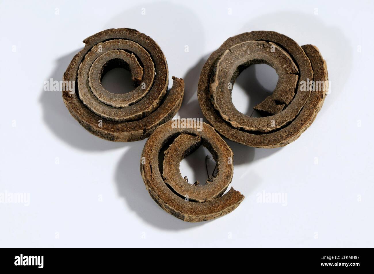 Magnolia bark (Magnoliae Officinalis Cortex), Hou Po, freehand, object ...