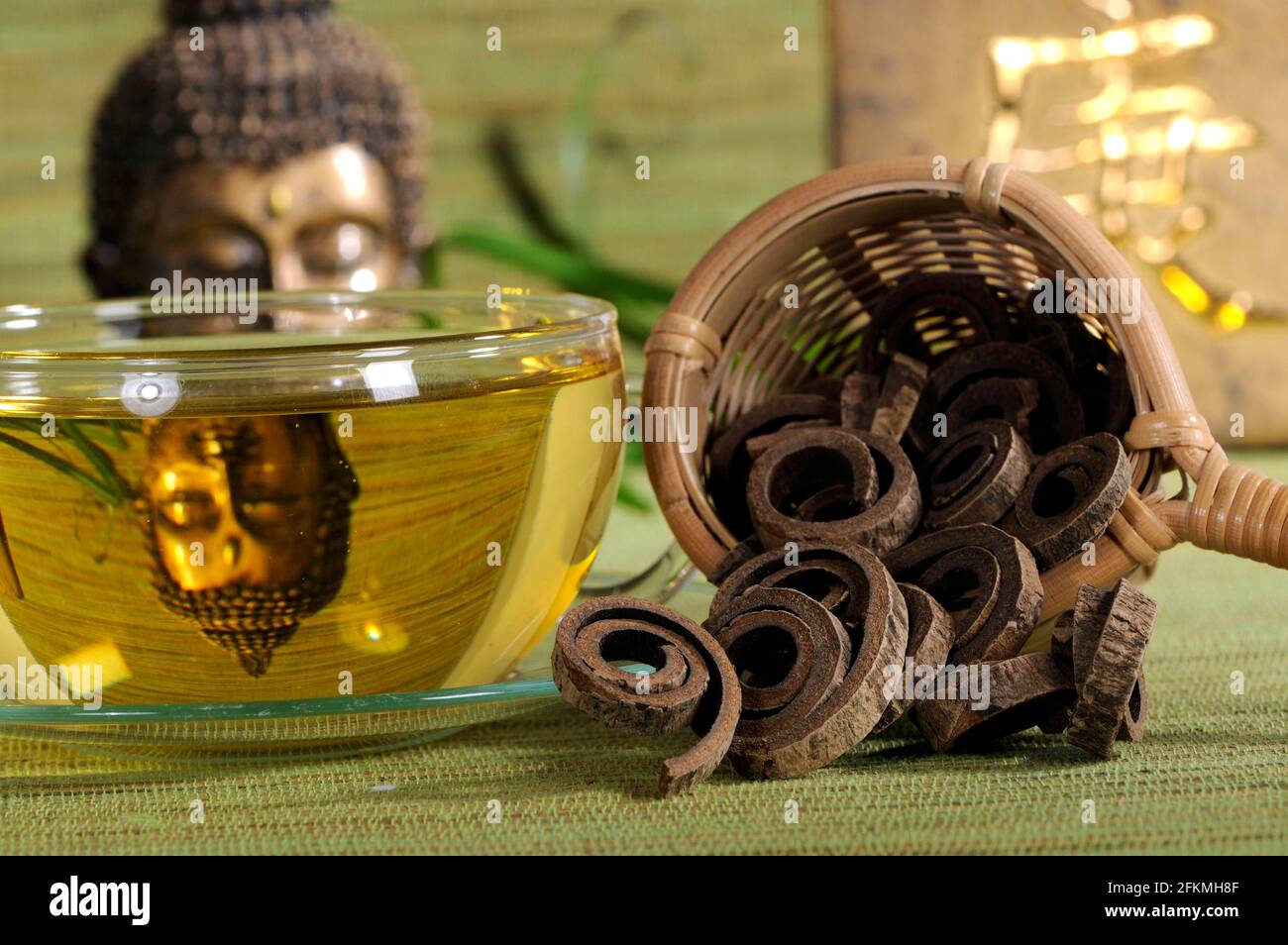 Magnolia bark magnolia officinalis hi-res stock photography and images ...