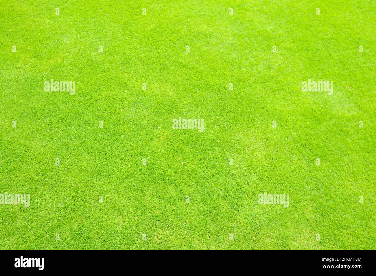 Lawn, Meadows, Turf Stock Photo - Alamy