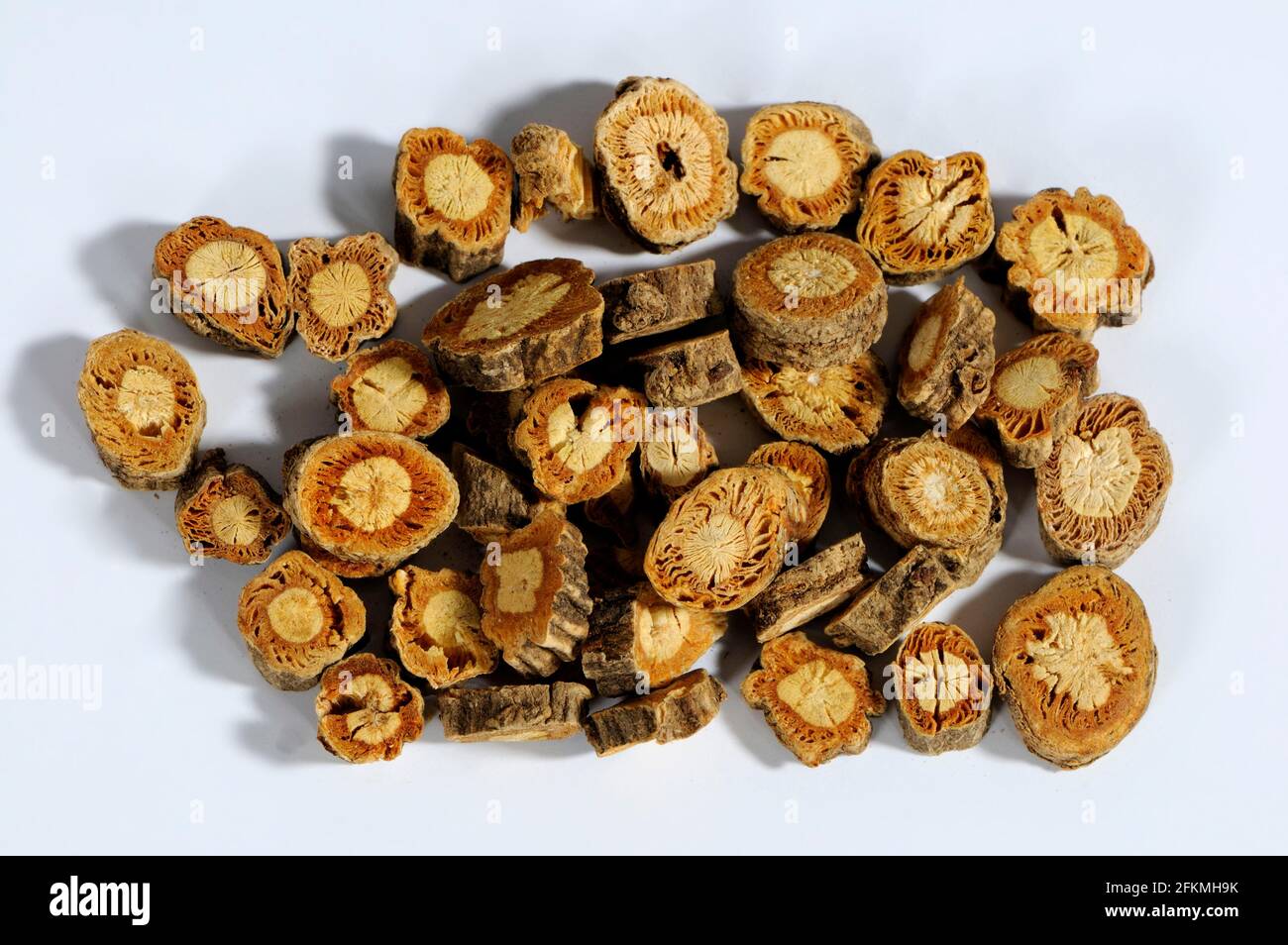 Saposhnikovia root (Saposhnikoviae radix), Fang Feng, cut out, object ...