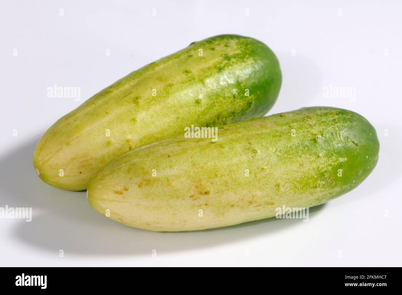 Thai mini cucumber, Cucumber Stock Photo - Alamy