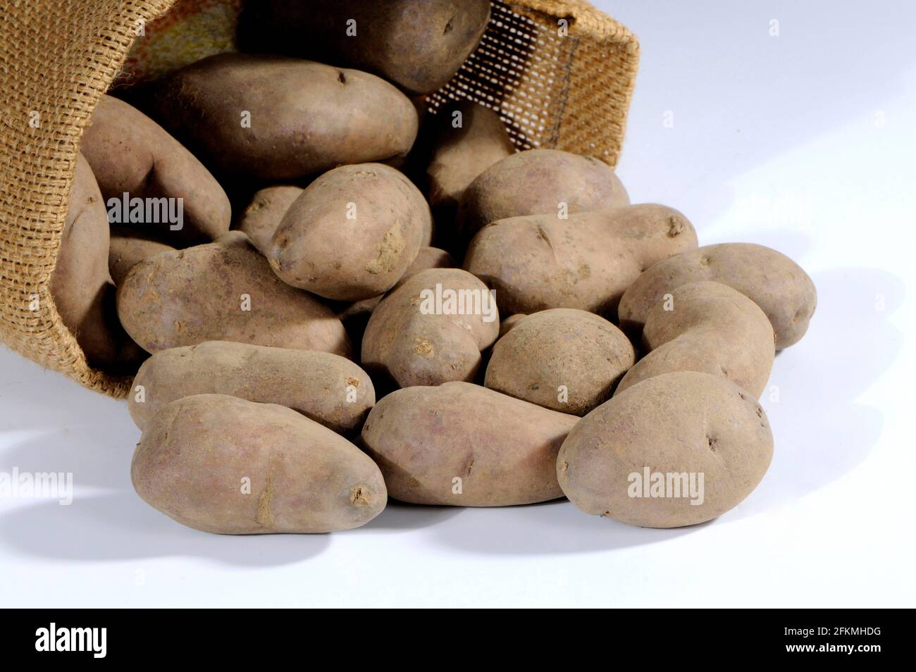 Potatoes (Solanum tuberosum) Kepplestone Kidney Stock Photo - Alamy