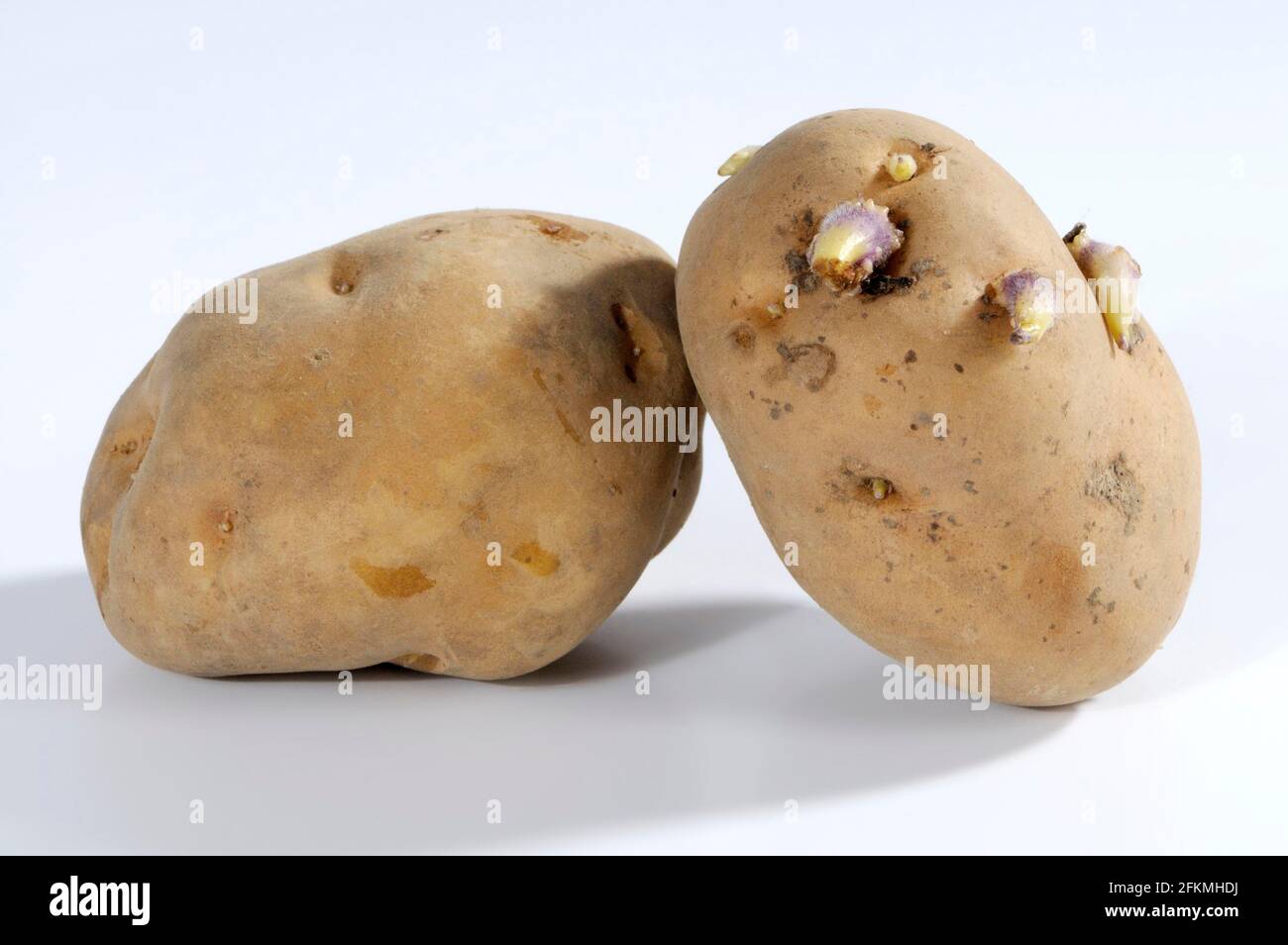 La bonnotte potato hi-res stock photography and images - Alamy