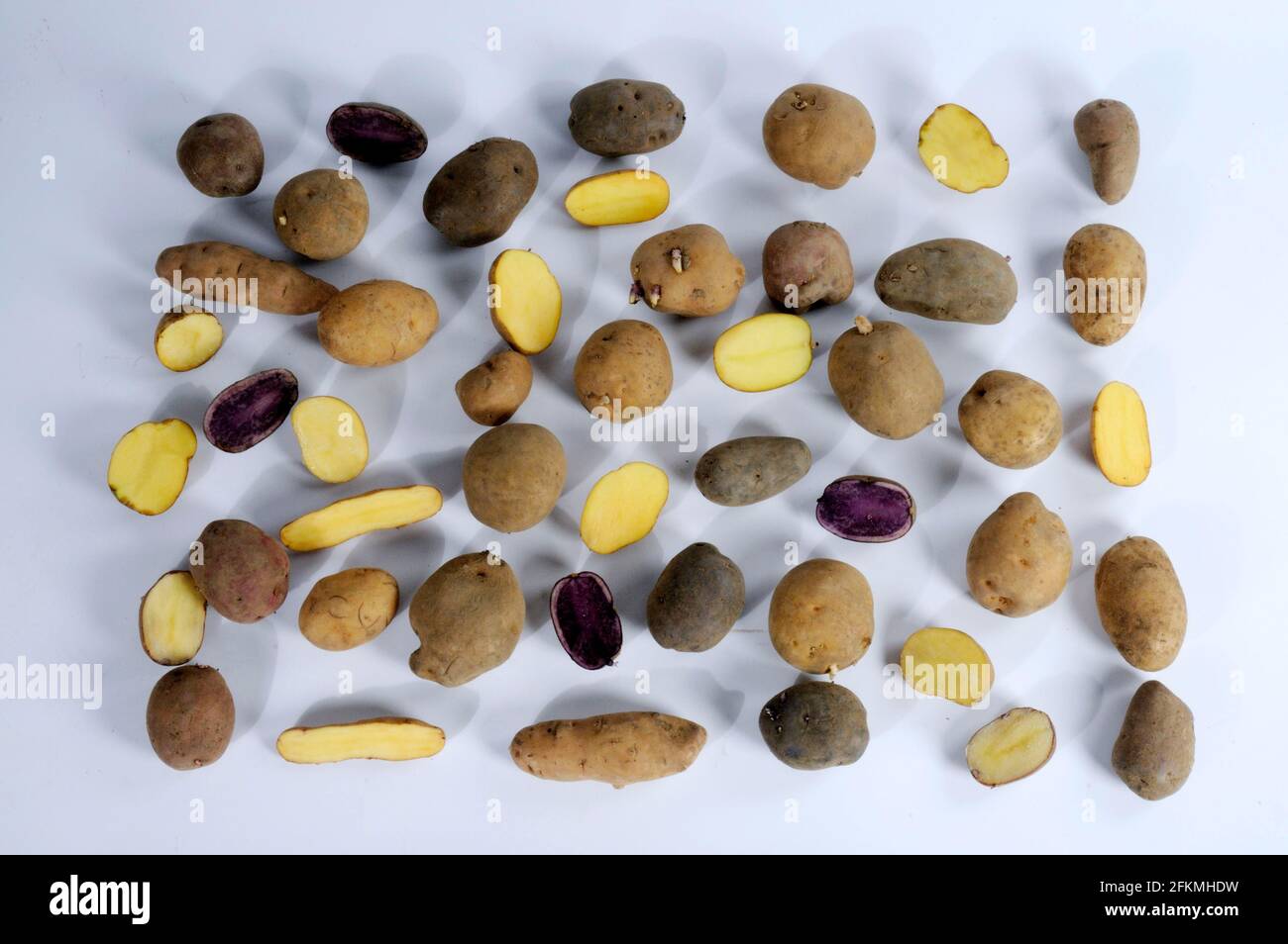 Different varieties of potatoes (Solanum tuberosum), potato varieties ...