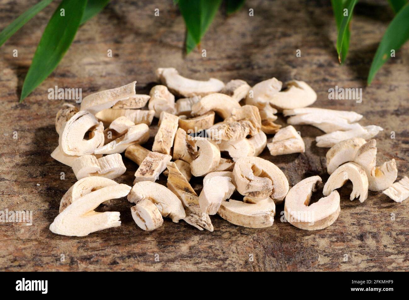 Pittany root bark with dense fruit (Dictamni Cortex), Bai Xian Pi Stock ...