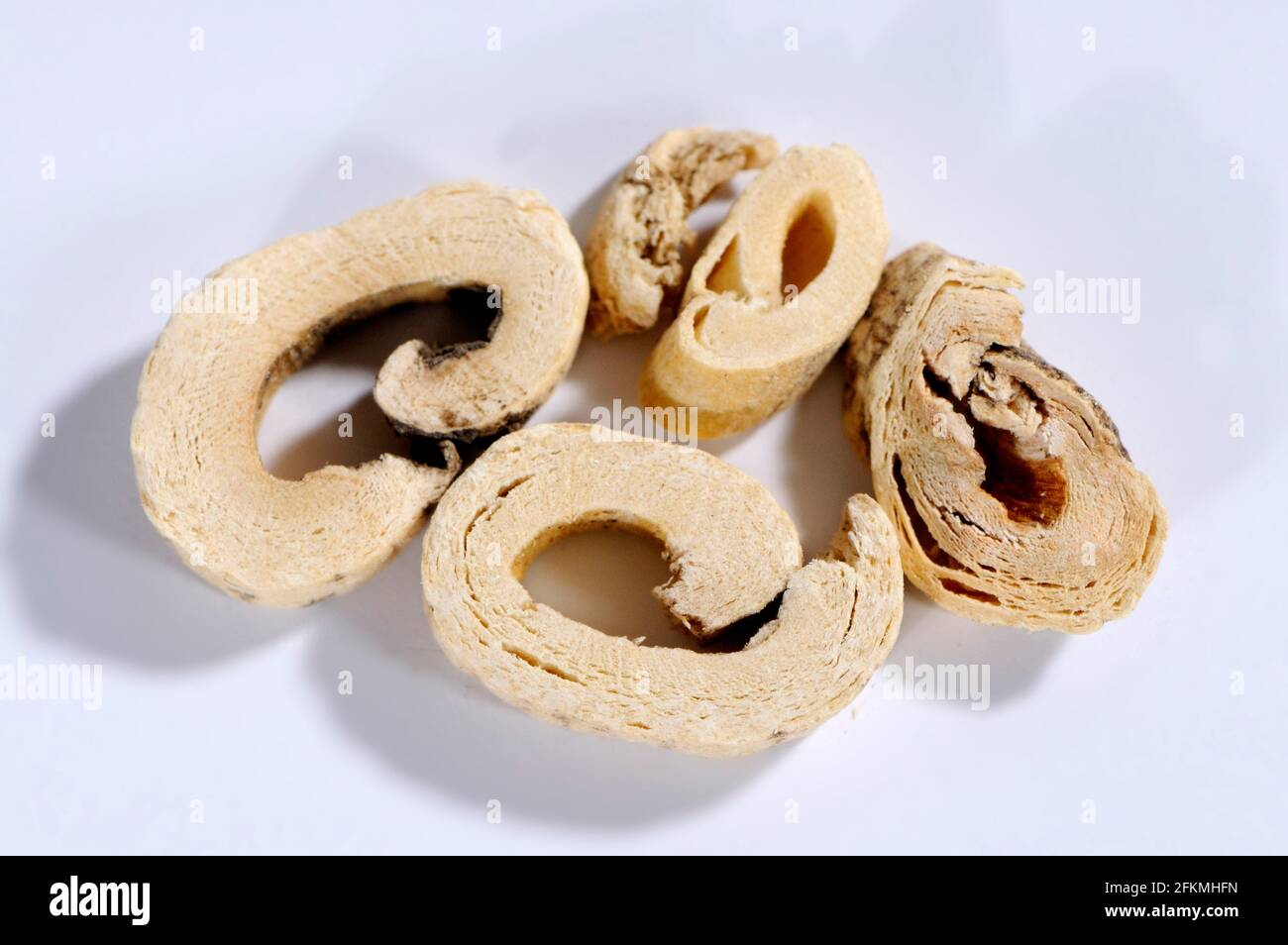 Diptam root bark (Dictamni Cortex), Bai Xian Pi, cutout, object Stock ...