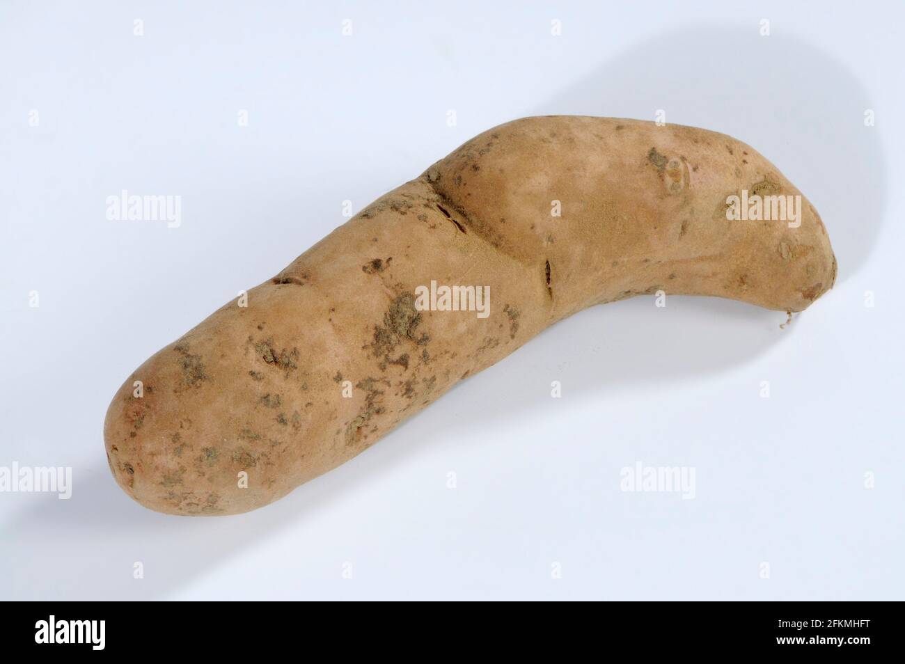 Bamberg potatoes hi-res stock photography and images - Alamy