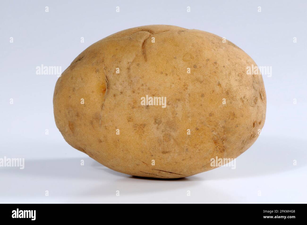 Potato Linda, potatoes (Solanum tuberosum Stock Photo - Alamy