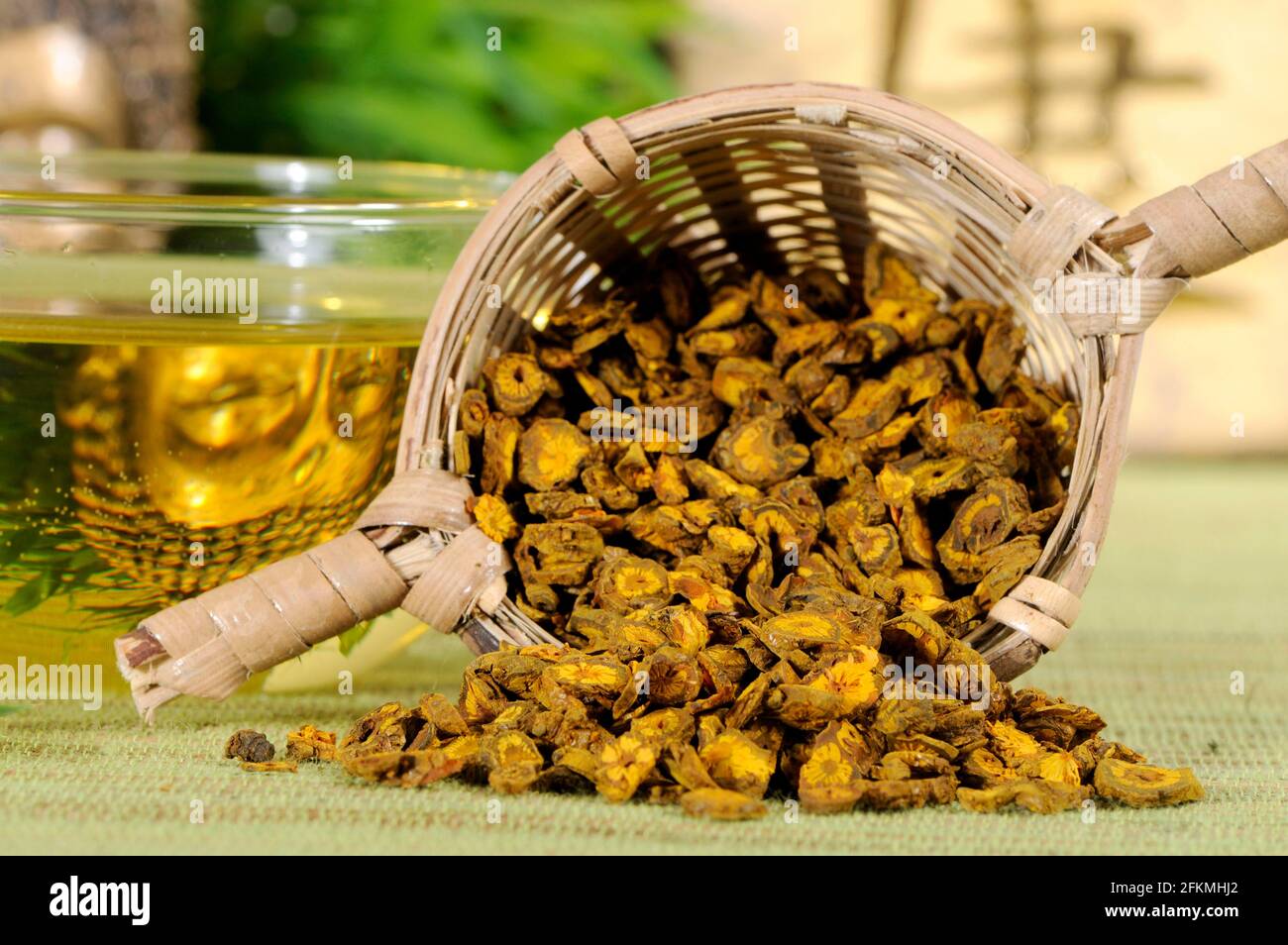 Cup of Golden Thread Root Tea (Coptidis Rhizoma), Huang Lian, Golden ...