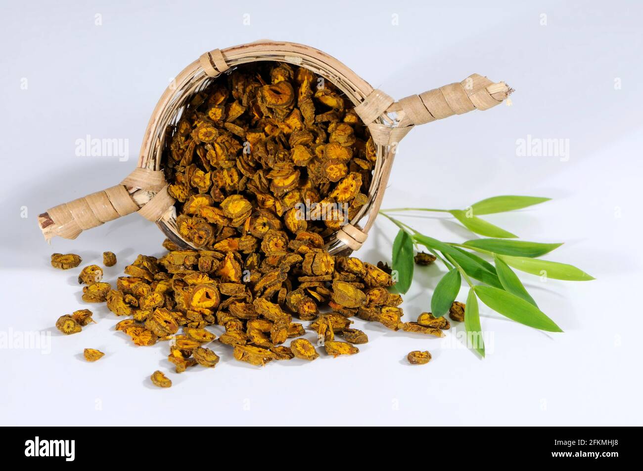 Golden thread root tea (Coptidis Rhizoma), Huang Lian, golden thread ...