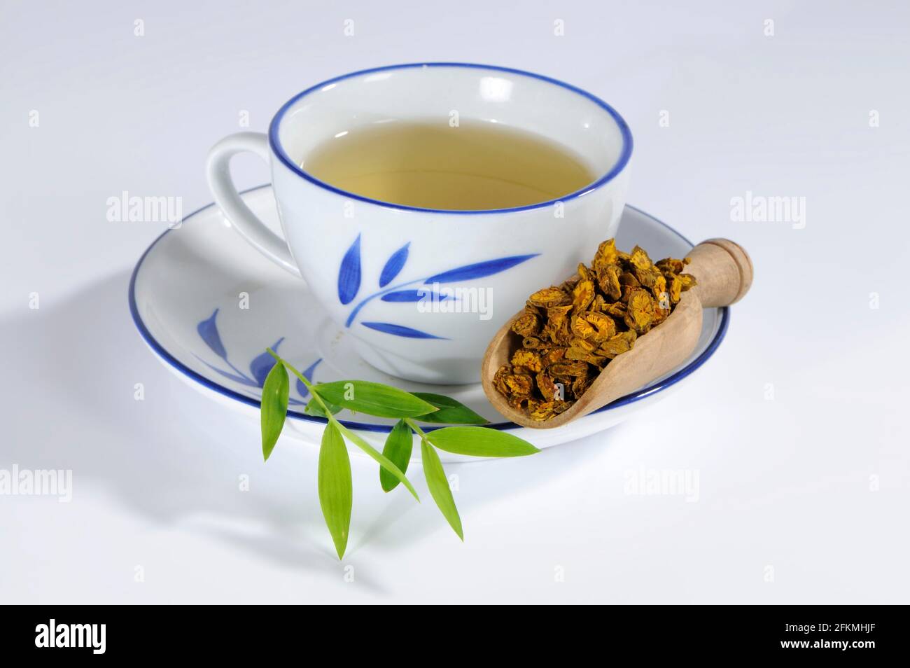 Cup of Golden Thread Root Tea (Coptidis Rhizoma), Huang Lian, Golden ...