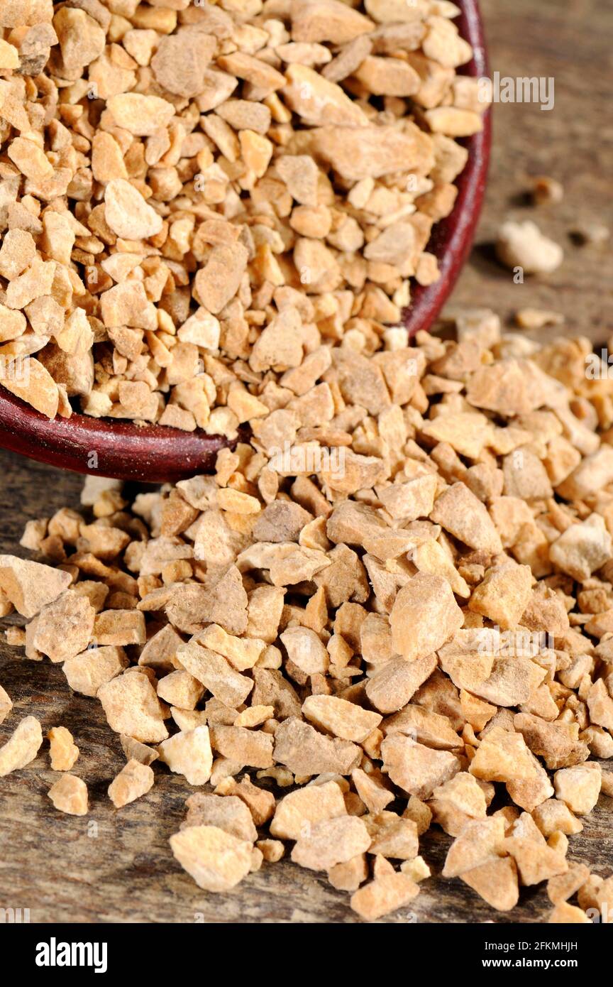 Oriental Frogspoon Tuber (Coptidis Rhizoma), Ze Xie Stock Photo - Alamy