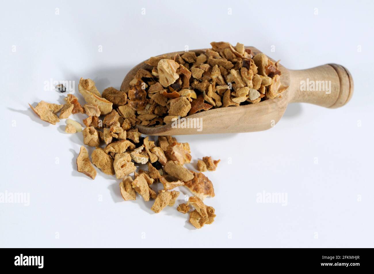 Paternoster tree fruits (Toosendan Fructus), Chuan Lian Zi, freehand ...