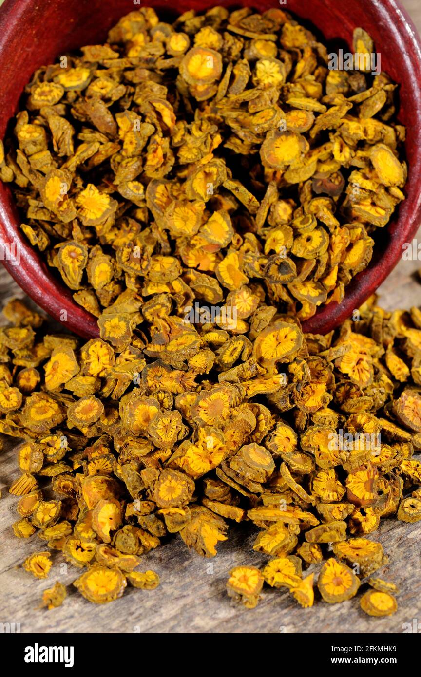 Golden thread root (Coptidis Rhizoma), Huang Lian Stock Photo - Alamy
