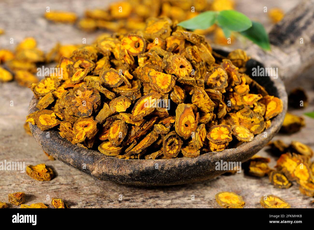 Golden thread root (Coptidis Rhizoma), Huang Lian Stock Photo - Alamy