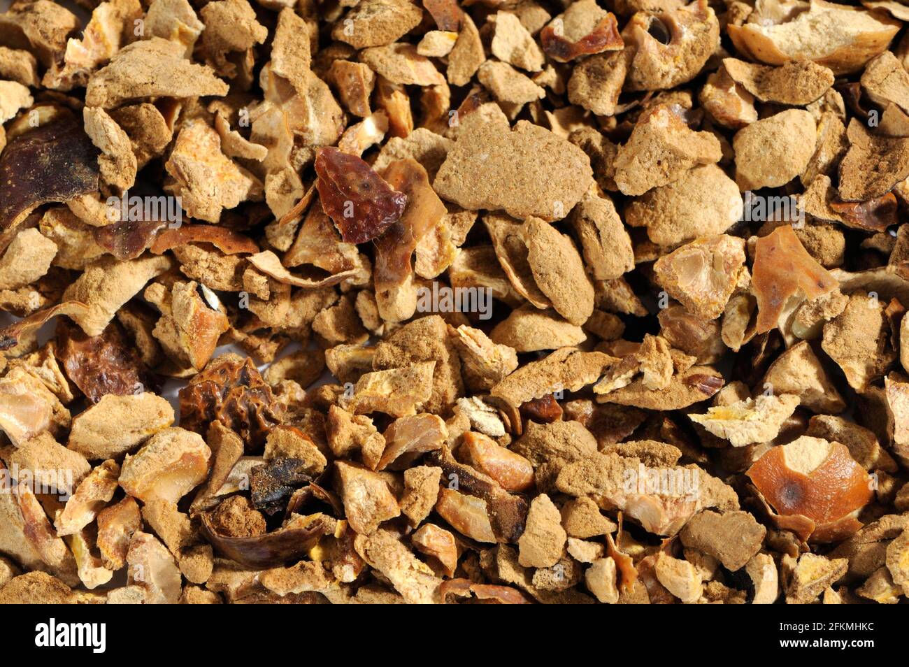 Paternoster Tree Fruits (Toosendan Fructus), Chuan Lian Zi Stock Photo ...